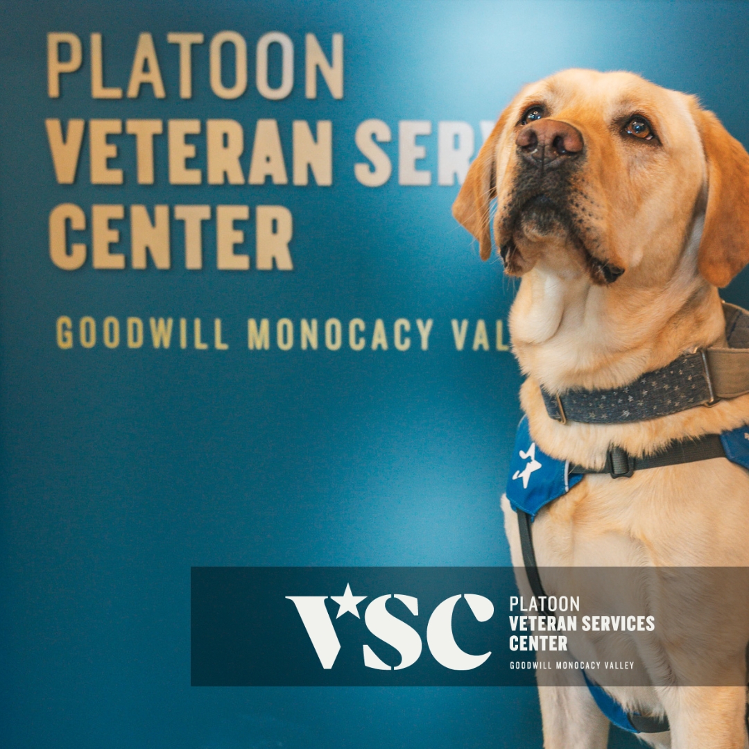 Programs & Services - Platoon 22